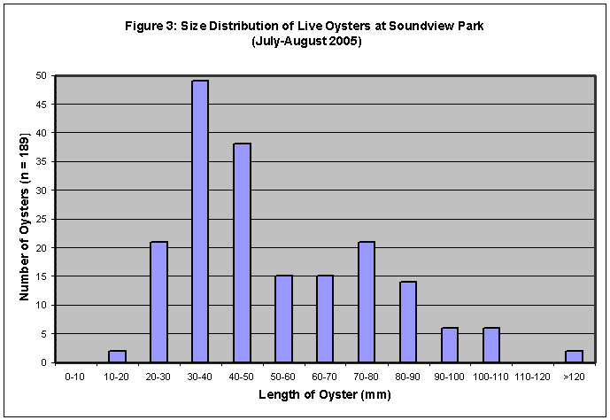 Oyster Abundance and Size Distribution Survey : Fish and Shellfish ...