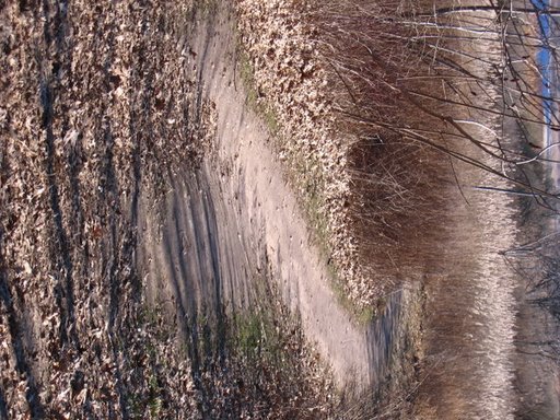 New York City Water Trail : New York City Department of Parks ...