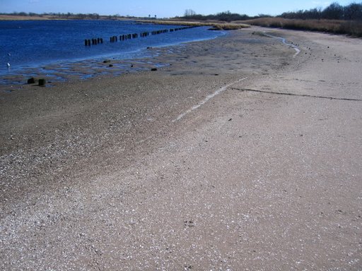 New York City Water Trail : New York City Department of Parks ...