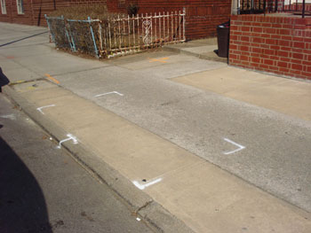 Parks’ Planting Process : NYC Parks